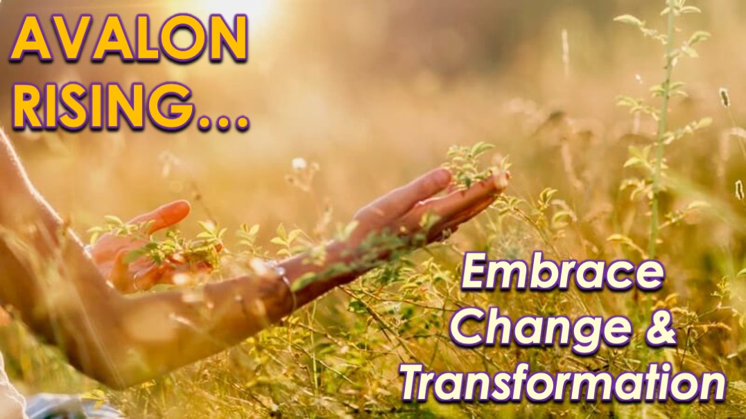 Change & Transformation | Openhand